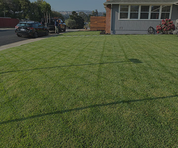 Bay Area Landscapers | Vigorous Landscaping